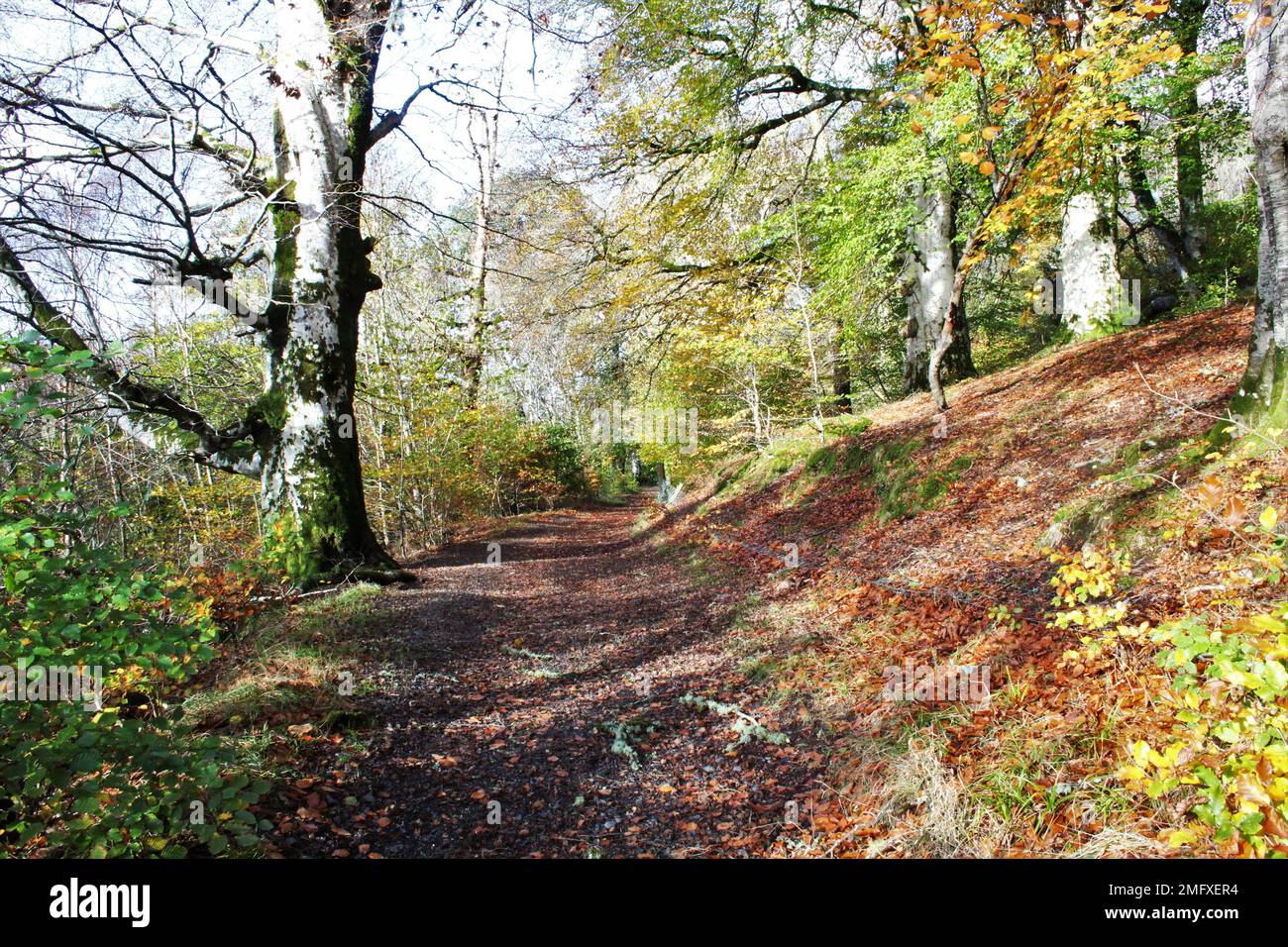 Craigengillan - Scotland Stock Photo - Alamy
