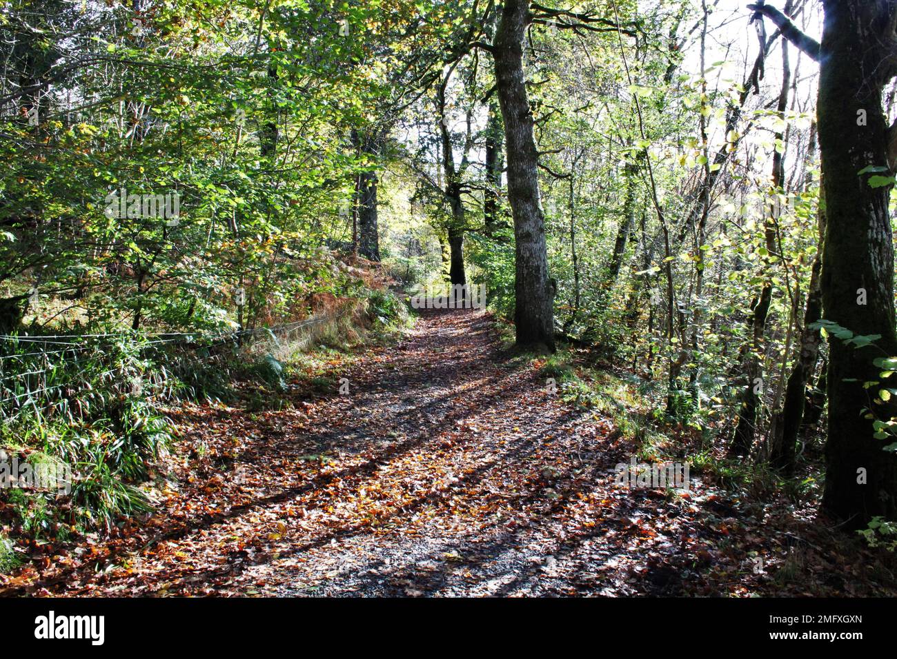Craigengillan - Scotland Stock Photo - Alamy