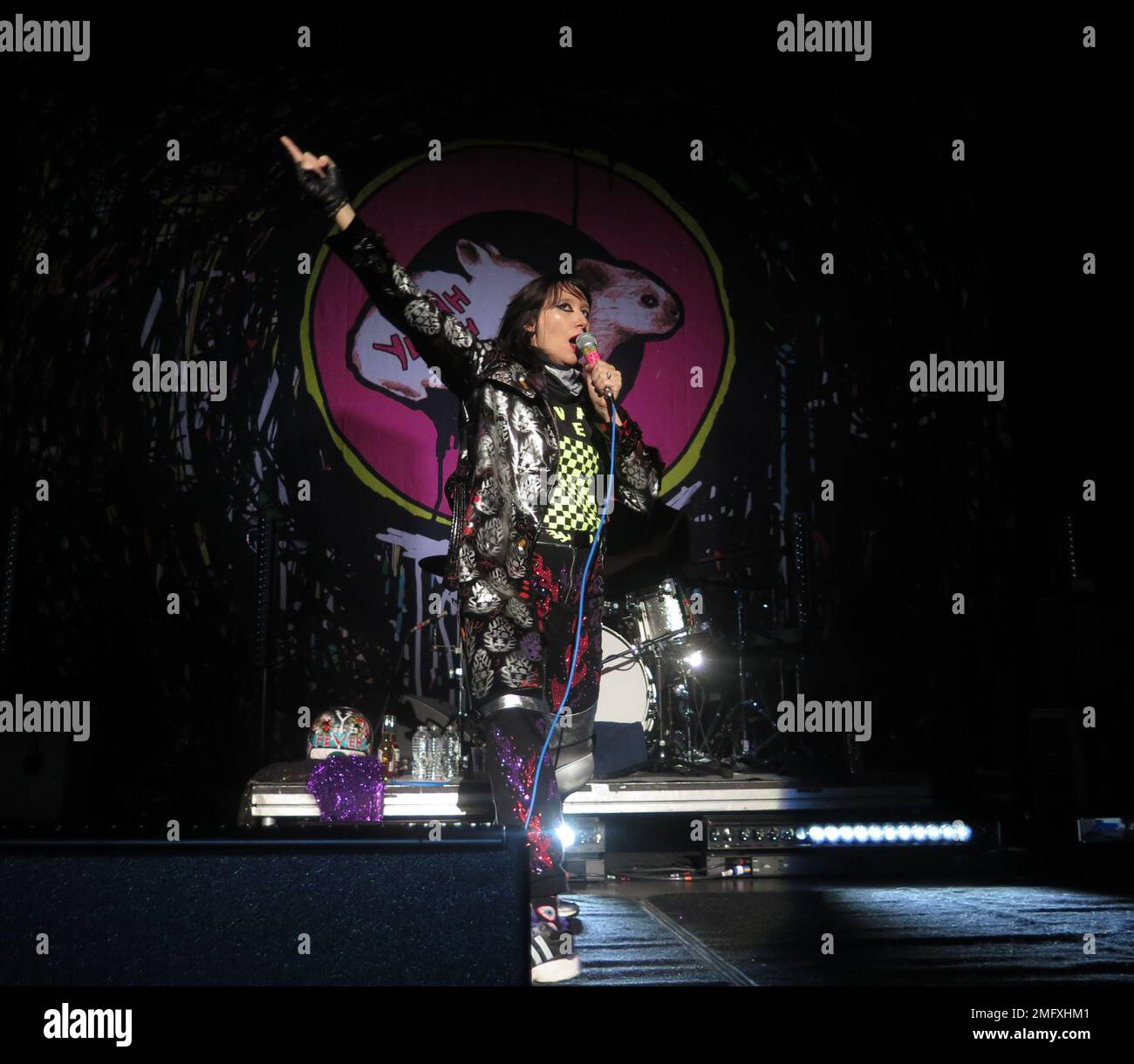 Yeah Yeah Yeahs in concert at the Kings Theatre in New York Stock Photo ...