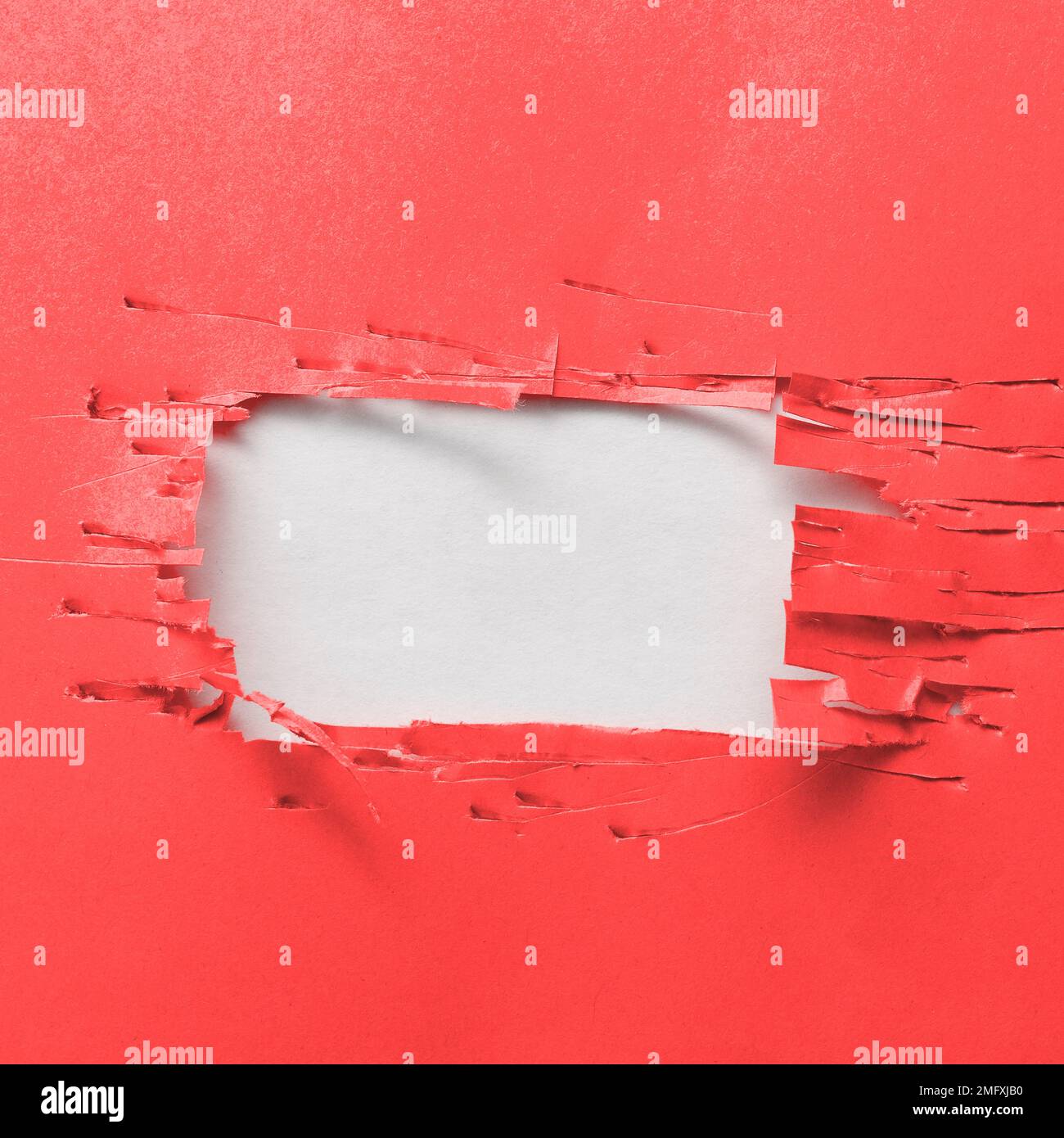 Important Information Written Under Ripped Piece Of Paper. Crutial Announcement Underneath Torn ...