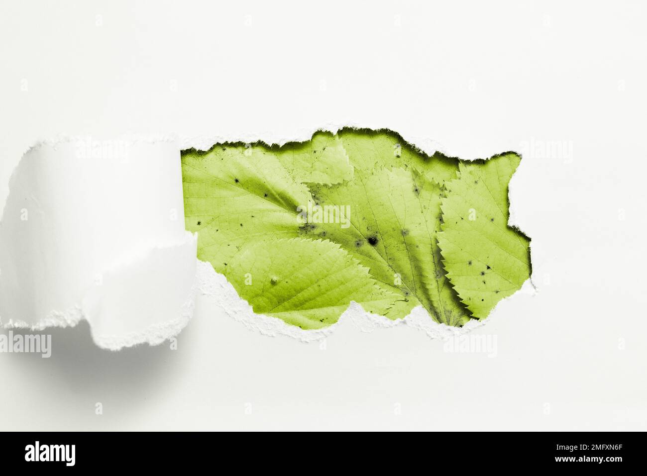 Important Information Written Under Ripped Piece Of Paper. Crutial ...