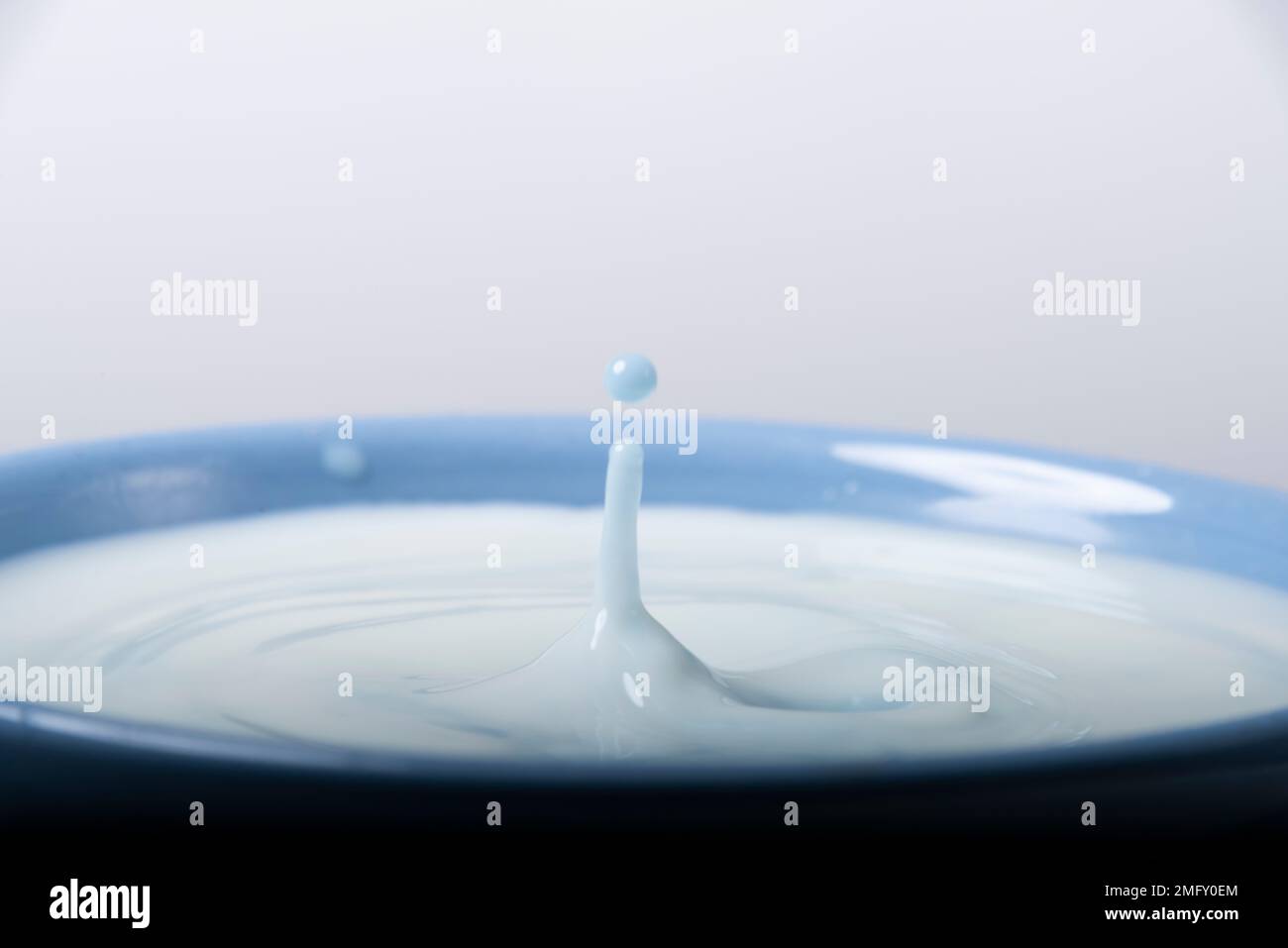 Color fresh blue milk drops into white milk in cup with light white ...