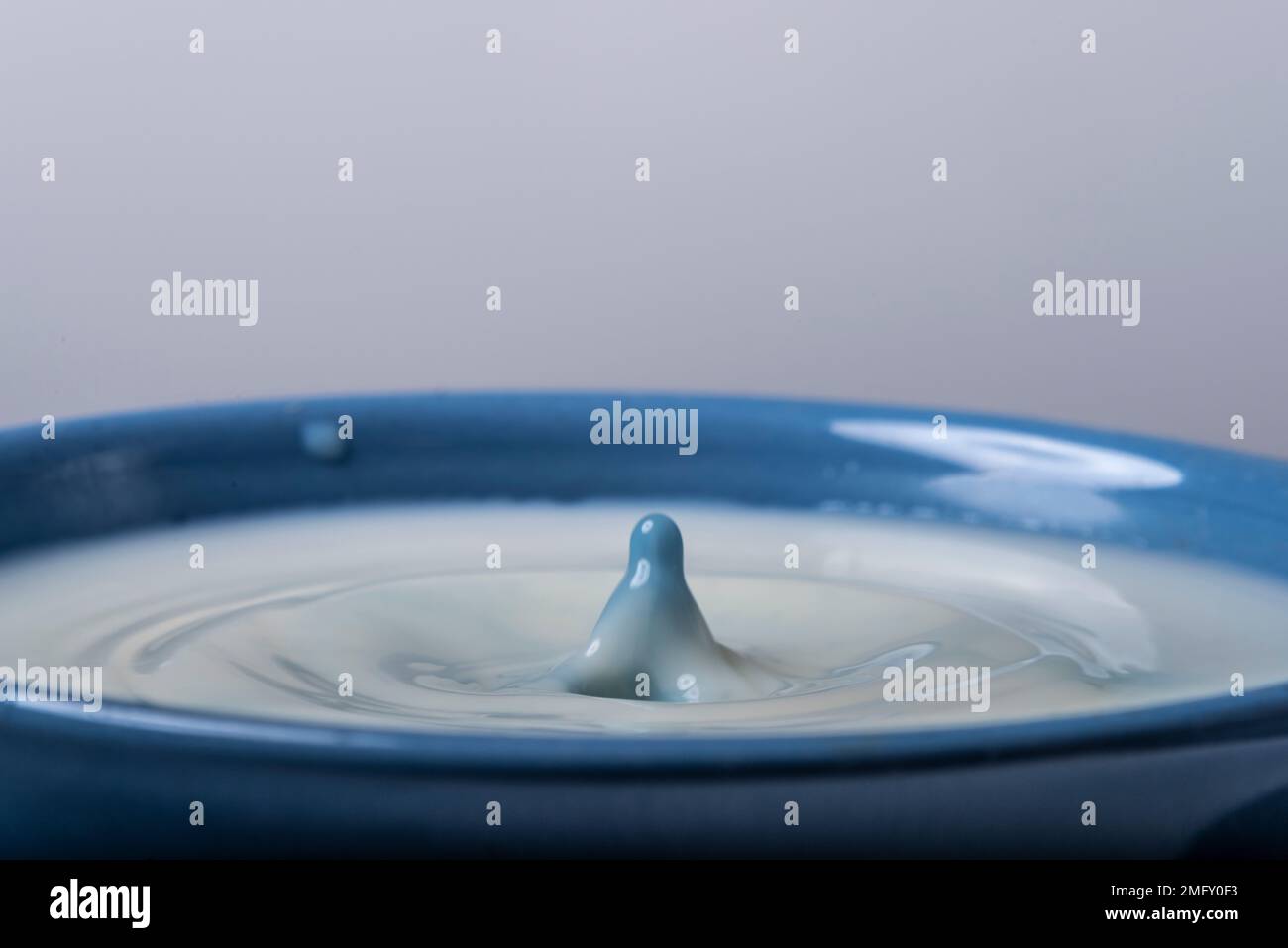 Color fresh blue milk drops into white milk in cup with light white ...