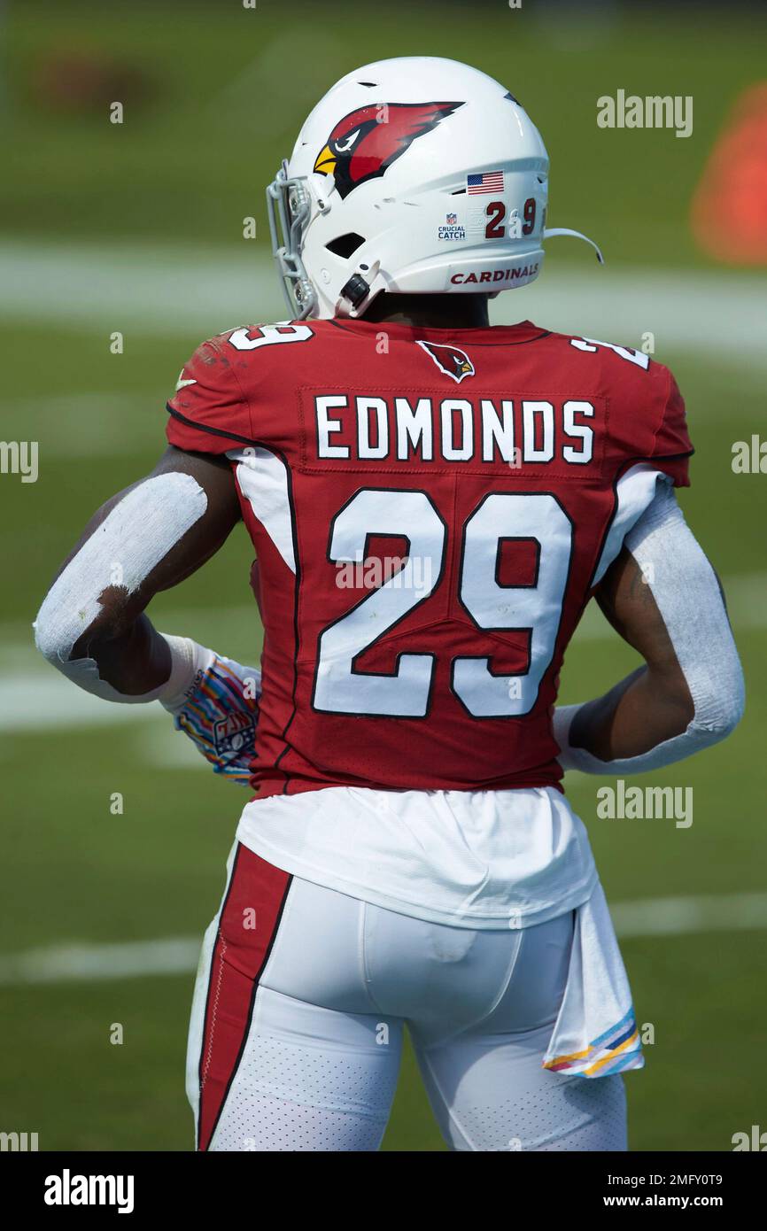 Arizona Cardinals running back Chase Edmonds (29) during an NFL ...