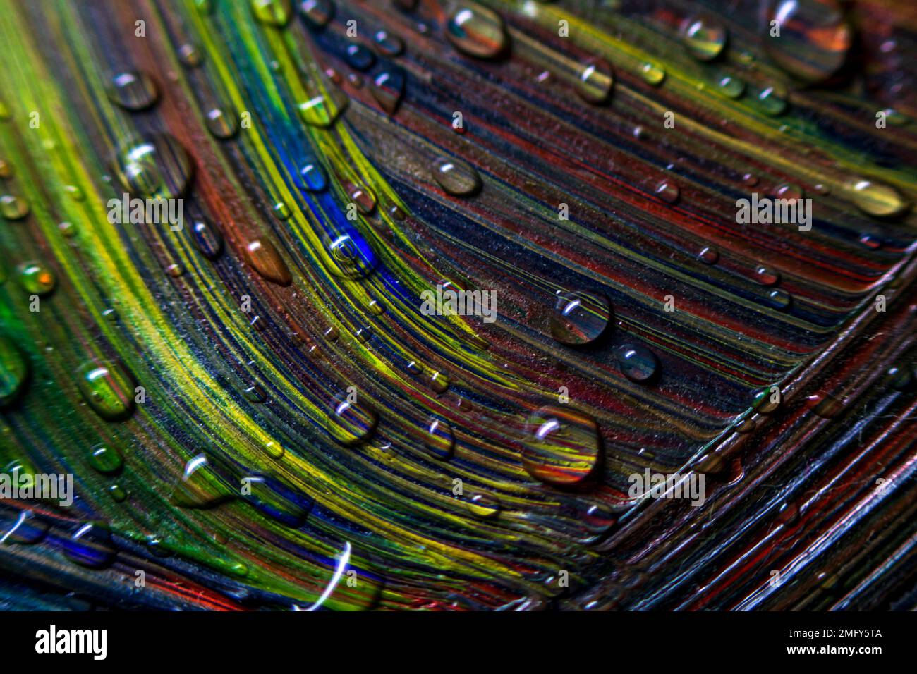 Colorful multicolored paints are covered with water drops. Multicolor ...