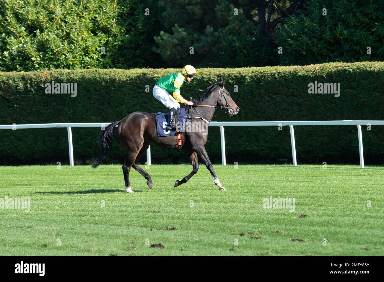 Fighting temeraire horse hi-res stock photography and images - Alamy