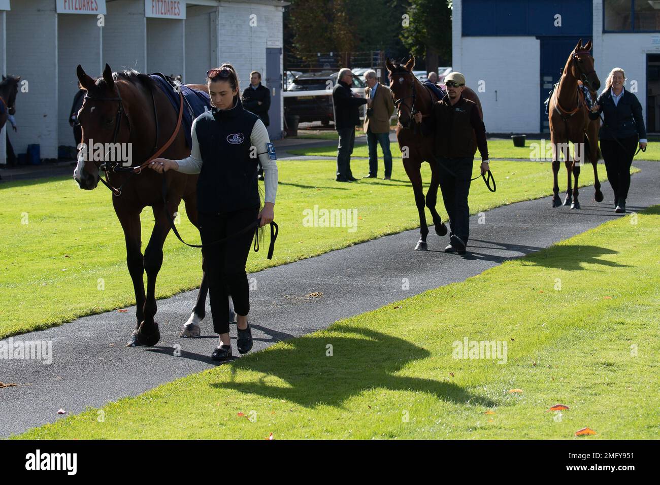 At the races app form study ebf novice stakes hi-res stock photography ...