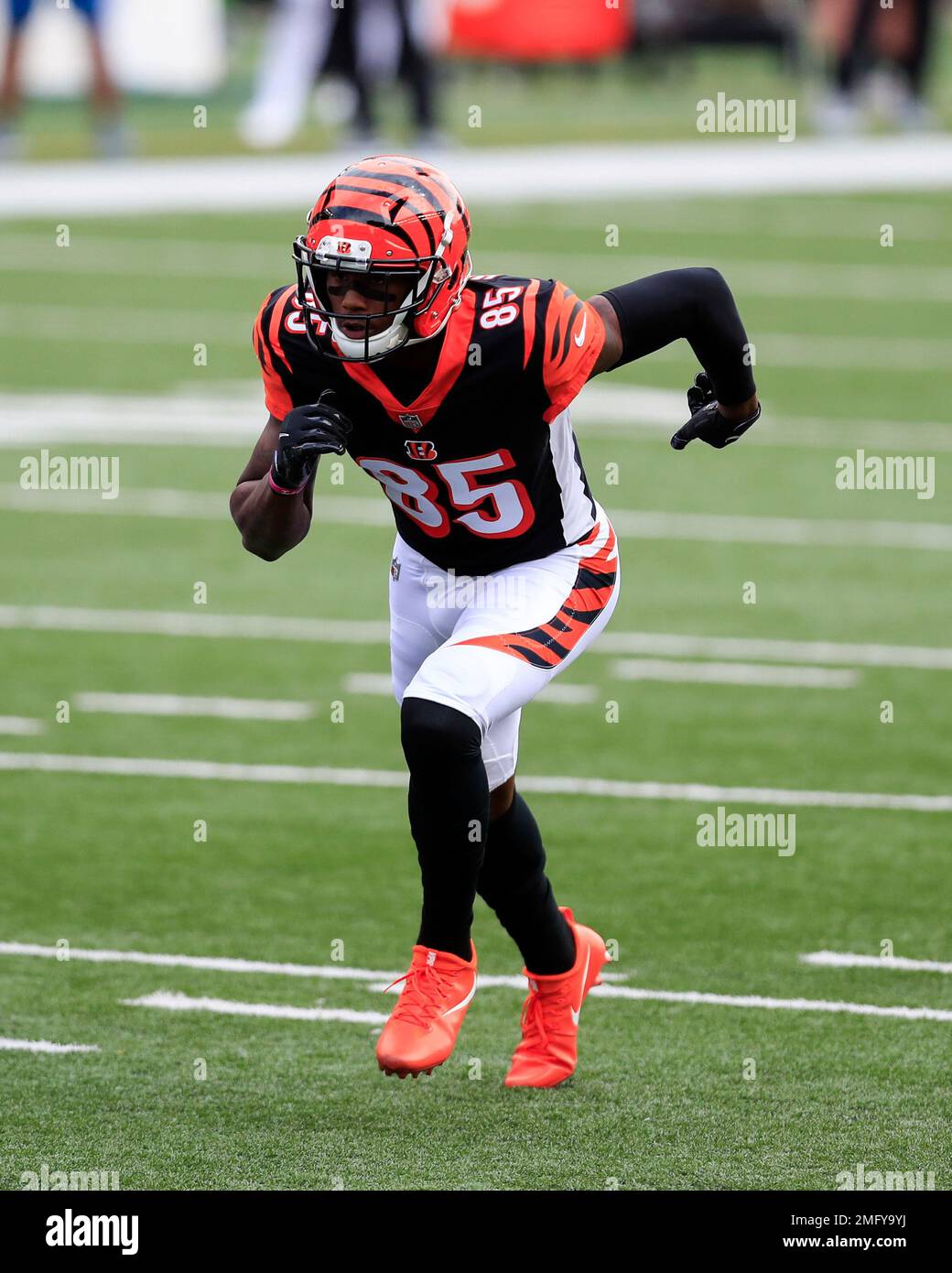 Cincinnati Bengals wide receiver Tee Higgins (85) plays the field ...