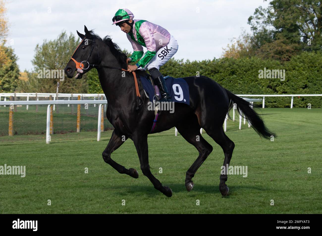 Parade roman sport hi-res stock photography and images - Alamy