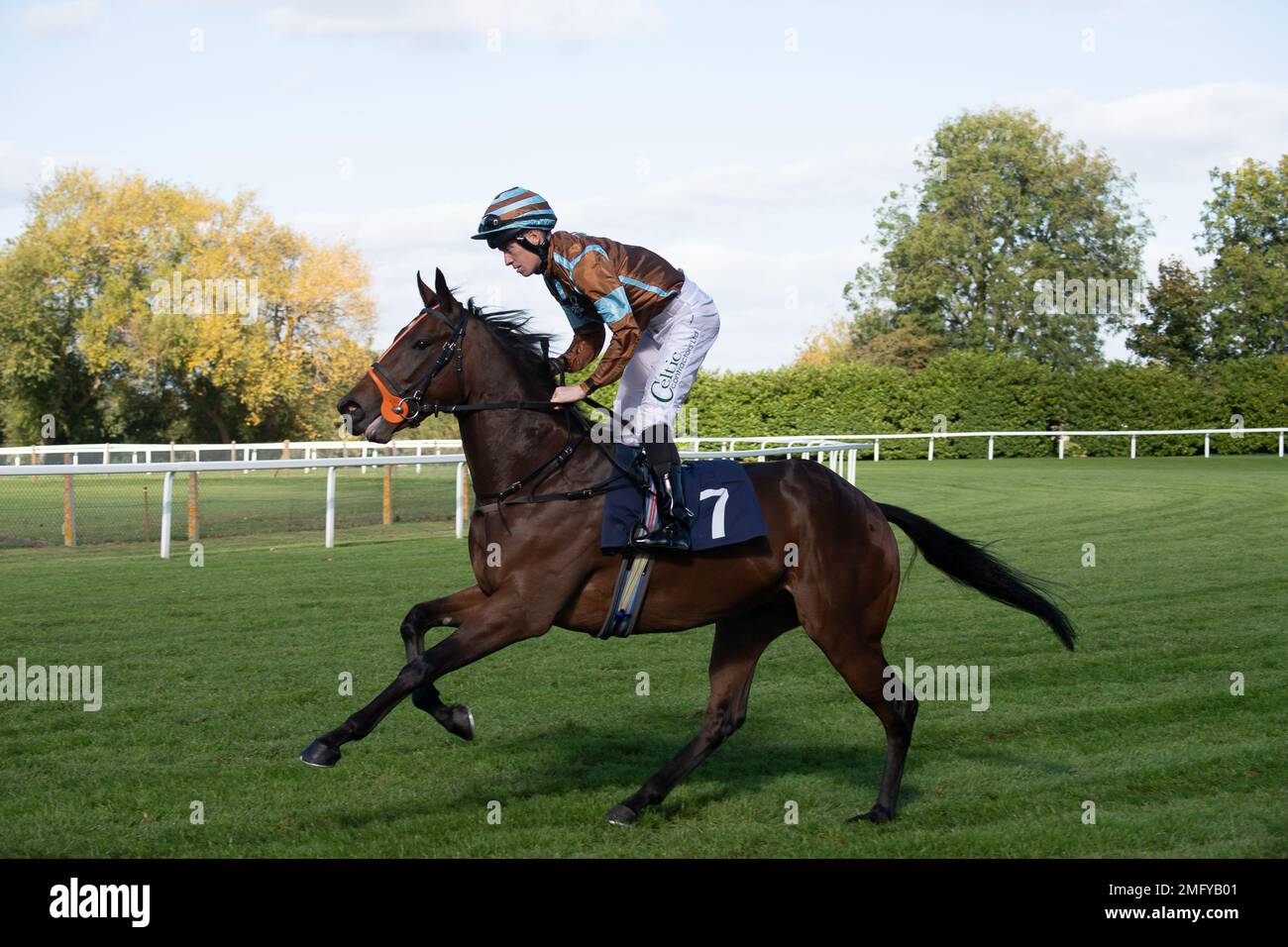 Guapo muy guapo hi-res stock photography and images - Alamy