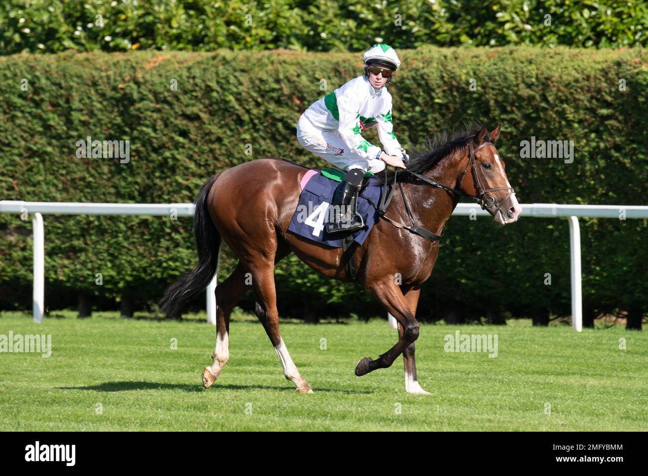 At the races app form study ebf novice stakes hi-res stock photography ...