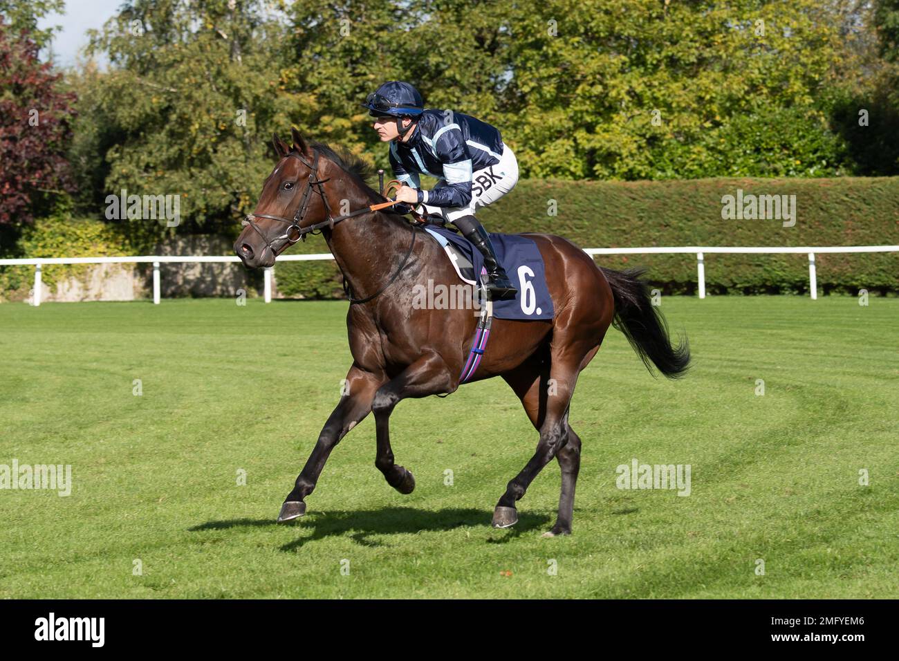 The at the races app market movers nursery handicap stakes hi-res stock ...
