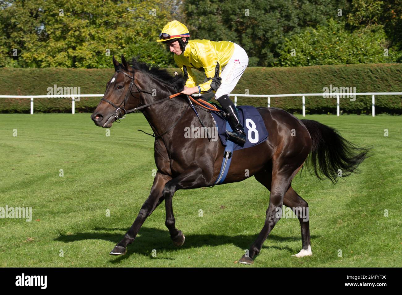 Windsor, Berkshire, UK. 10th October, 2022. Horse Acai ridden by jockey ...