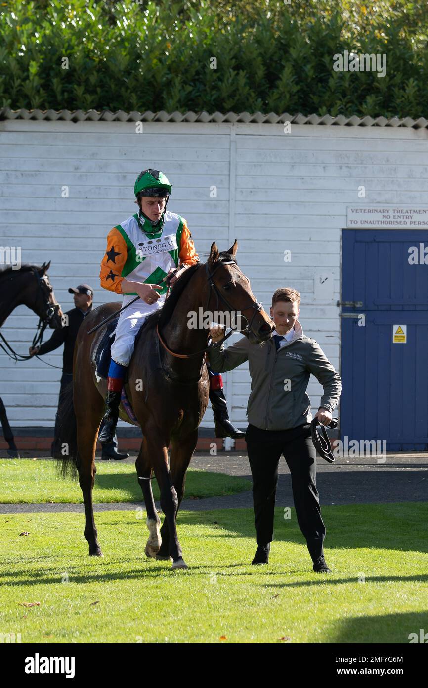Windsor, Berkshire, UK. 10th October, 2022. Horse Paddy's Day ridden by ...
