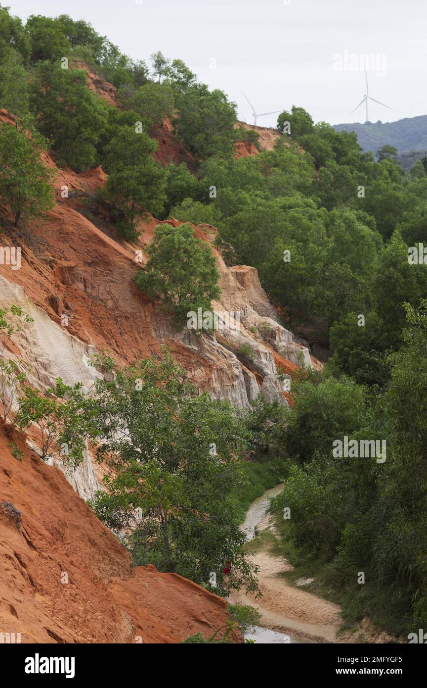 Beautiful reddish brown clay soil on the banks of the Fairy Stream ...