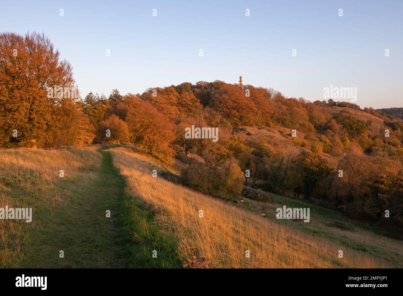 Landscape photo of the autumn colours at dusk at the Admiral Hood ...