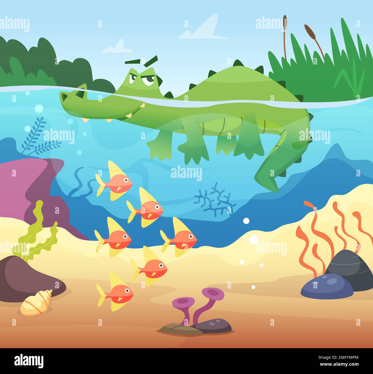 Swiming alligator. underwater life with wild aggresive animal reptile ...