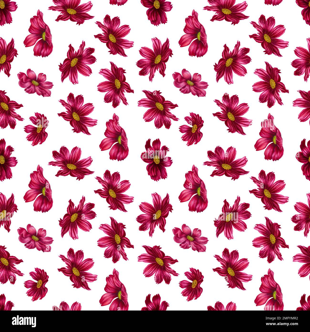 Watercolor hand drawn cosmea flower seamless pattern in trendy color ...