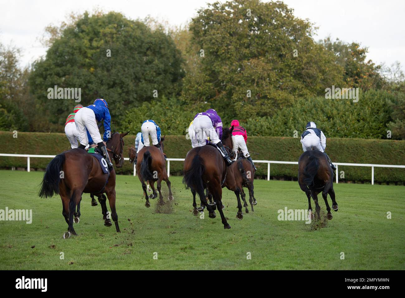 The follow at the races on twitter fillies handicap stakes hi-res stock ...