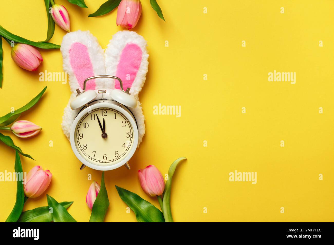 Alarm clock in rabbit ears surrounded by tulips. Easter spring change ...