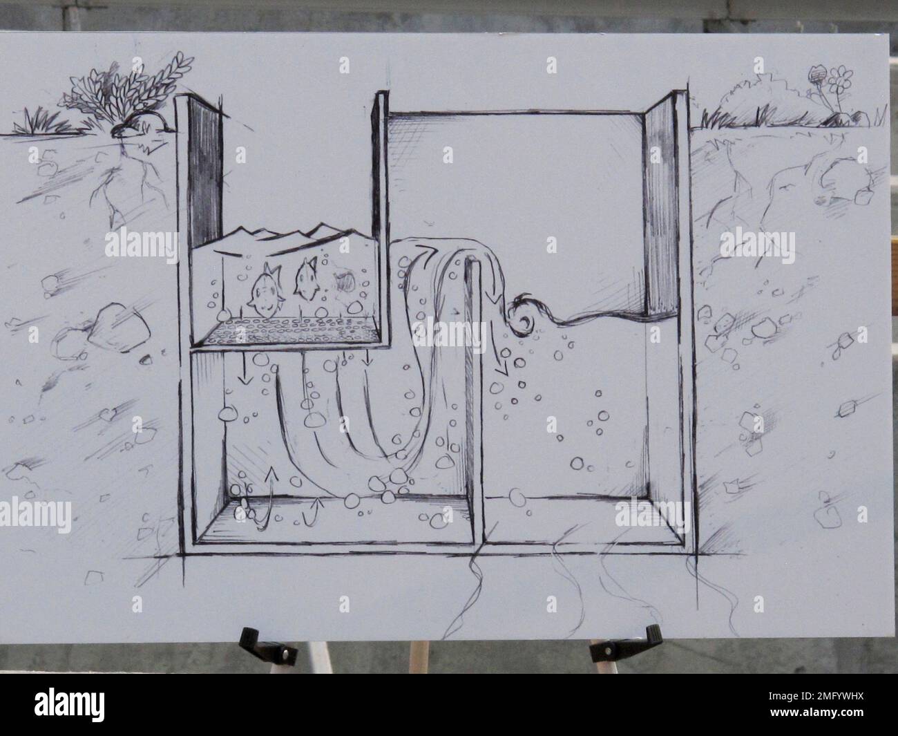 A schematic drawing display shows the design of the new fish bypass ...