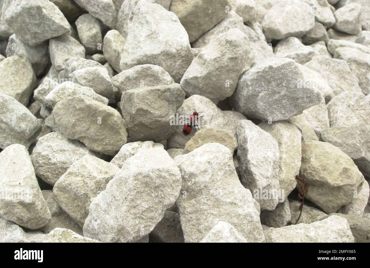 Marine Safety Unit Baton Rouge - General - 26-HK-134-3. Hurricane ...