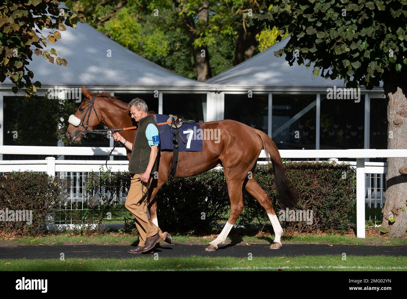 Windsor, Berkshire, UK. 10th October, 2022. Horse Seren Y Teigr in the ...