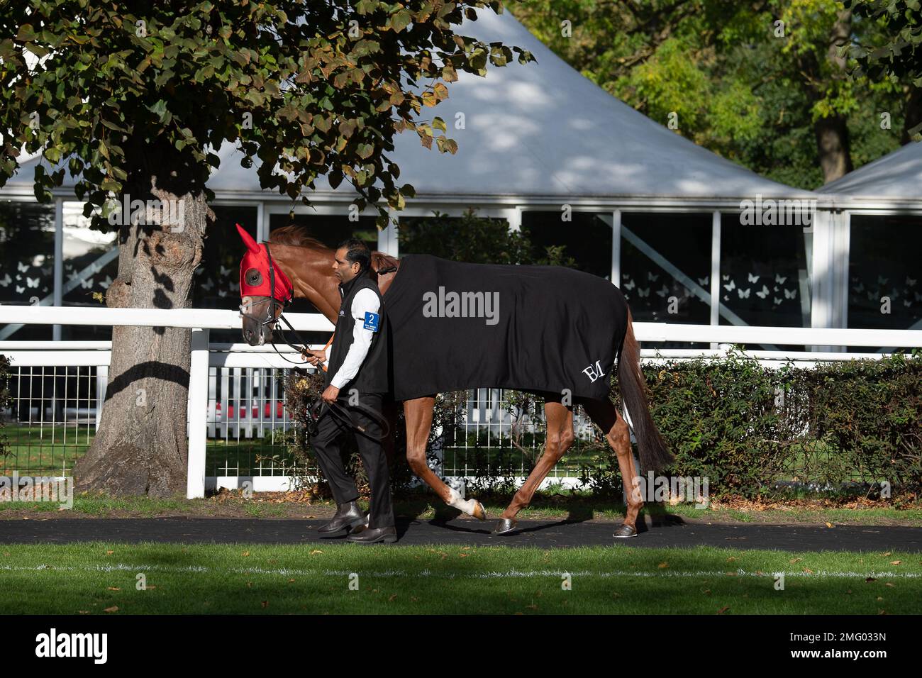 Windsor, Berkshire, UK. 10th October, 2022. Horse All Are Mine in the ...