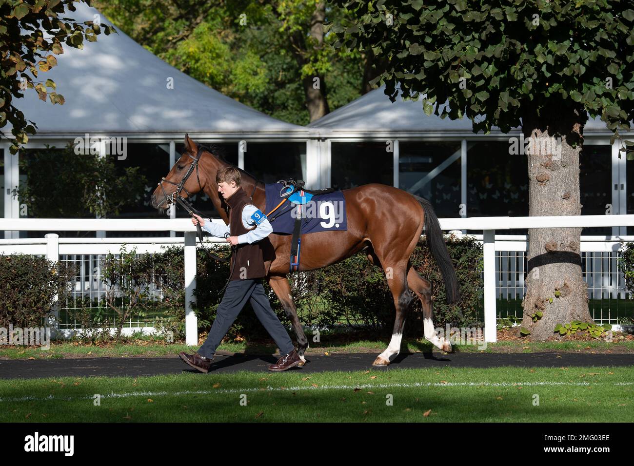 Windsor, Berkshire, UK. 10th October, 2022. Horse Biburyinmay in the ...