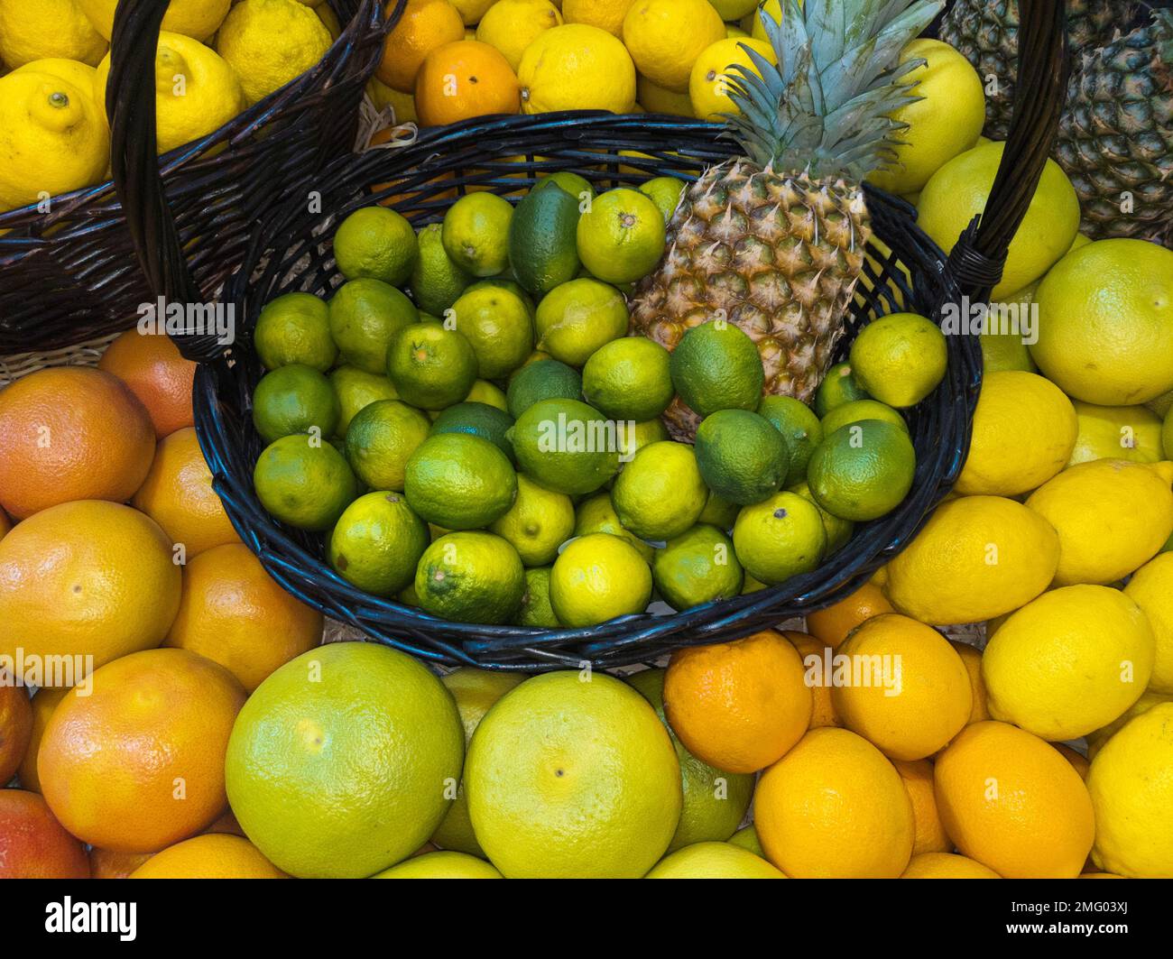 A variety of citrus fruits in the basket - limes, sweetie, lemons ...