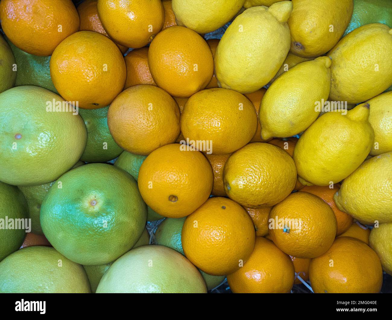 Sweetie citrus hi-res stock photography and images - Alamy