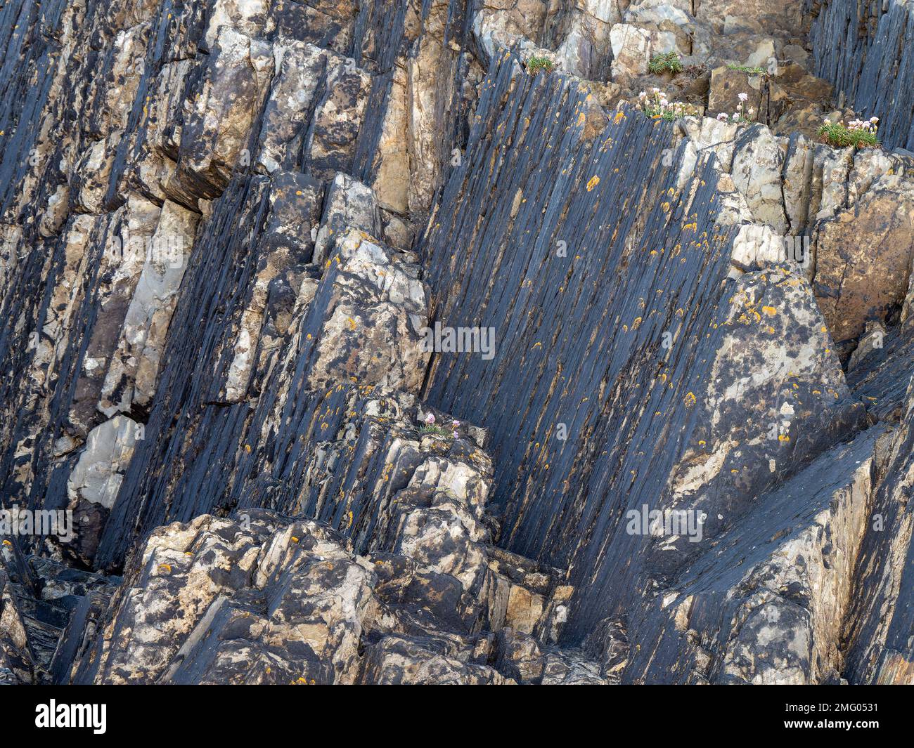 A variety of geological strata as a background, texture Stock Photo - Alamy