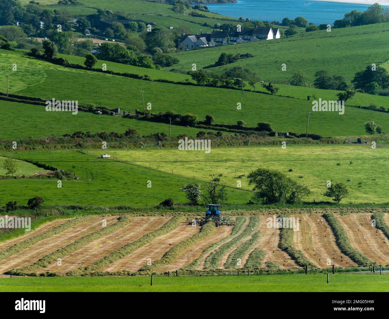 Tractor in the field on a sunny spring day. Picturesque agrarian ...