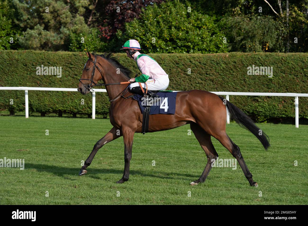 Windsor, Berkshire, UK. 10th October, 2022. Horse Firth of Clyde ridden ...
