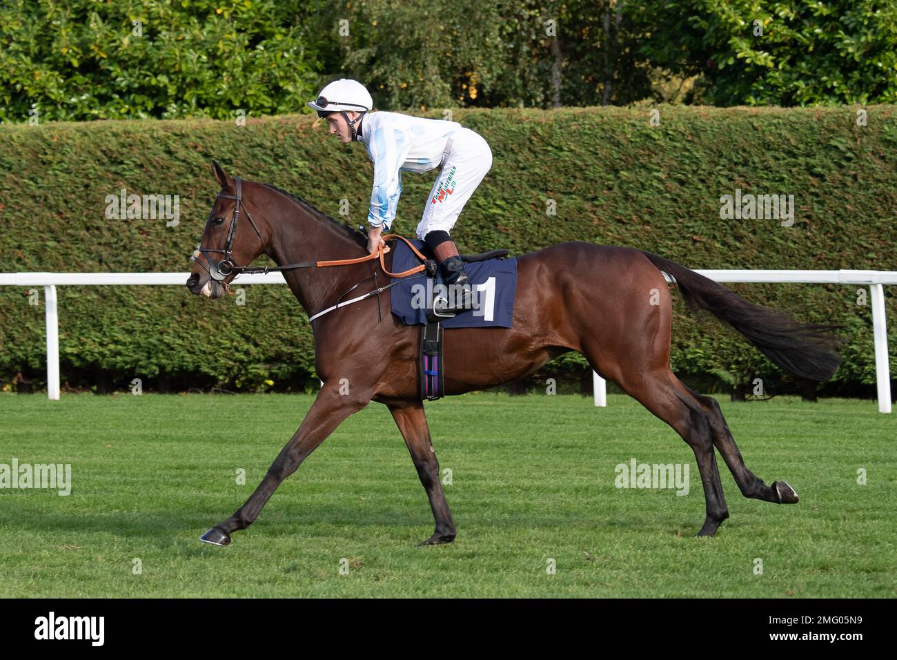 Windsor, Berkshire, UK. 10th October, 2022. Horse Pittsburg ridden by ...
