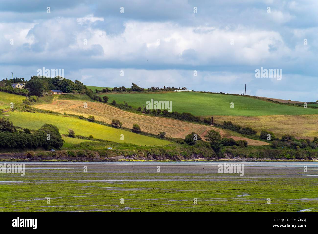 The seabed at low tide. The hilly shore of the sea bay. Lots of green ...