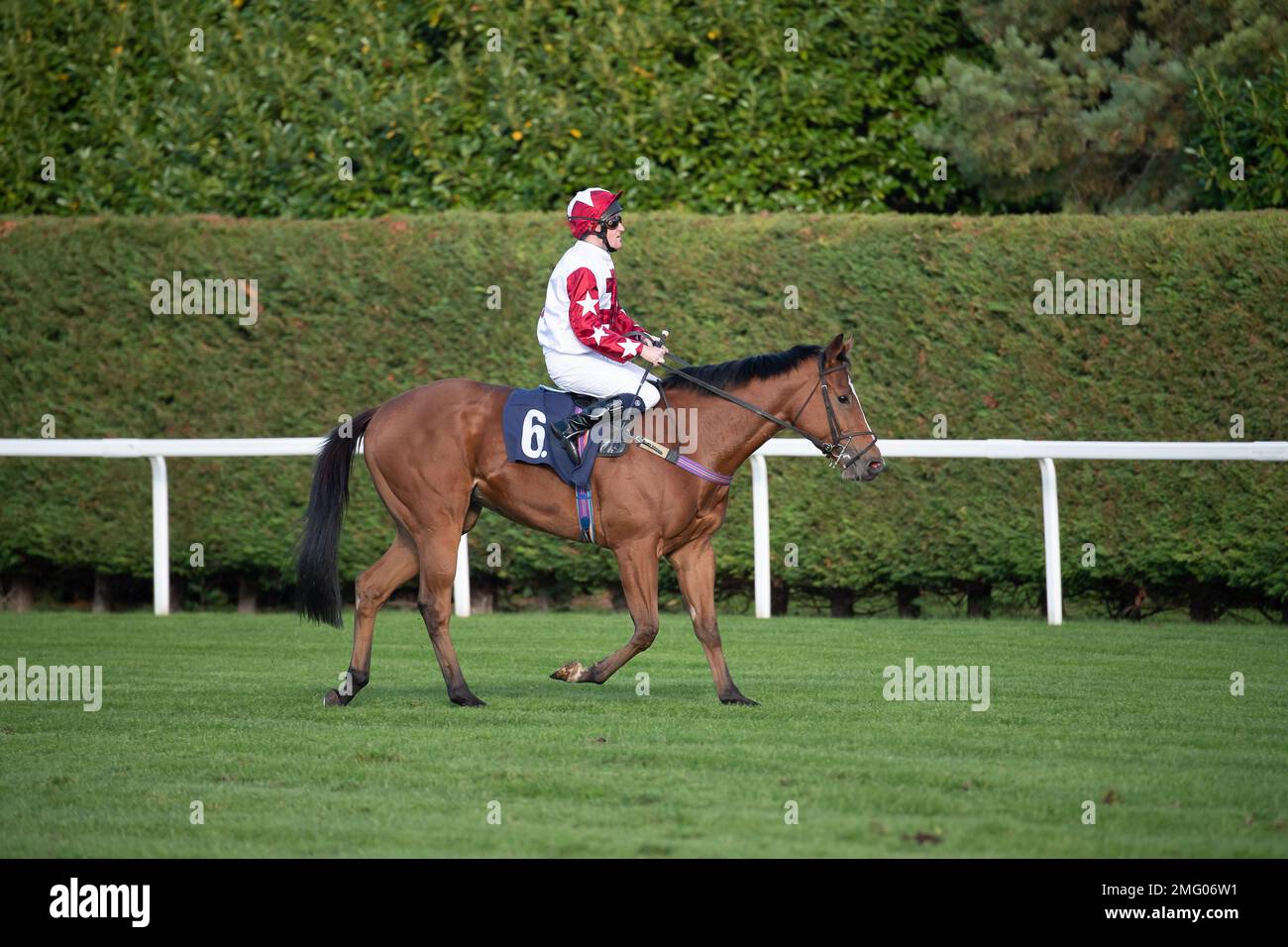 Windsor, Berkshire, UK. 10th October, 2022. Horse Moorgate ridden by ...
