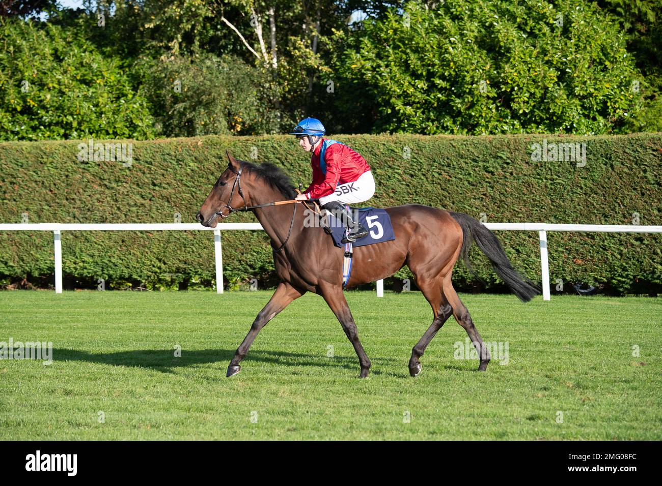 Windsor, Berkshire, UK. 10th October, 2022. Horse Morning Post ridden ...