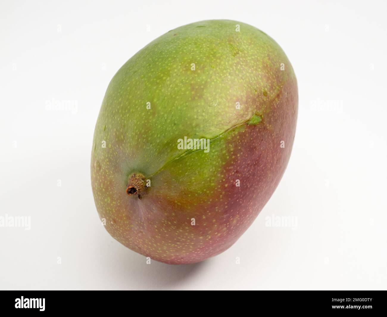 Mango close up hi-res stock photography and images - Alamy