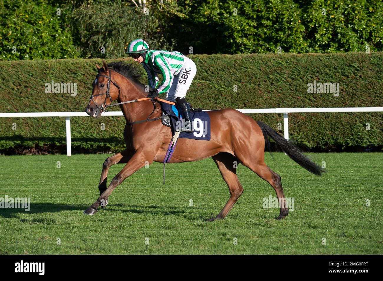 Windsor, Berkshire, UK. 10th October, 2022. Horse Dream Harder ridden ...