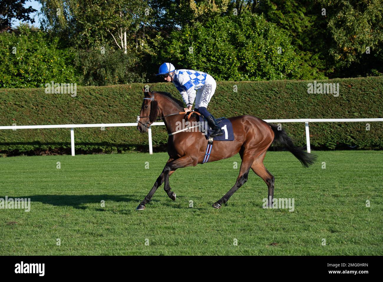 Windsor, Berkshire, UK. 10th October, 2022. Horse Teagarden ridden by ...