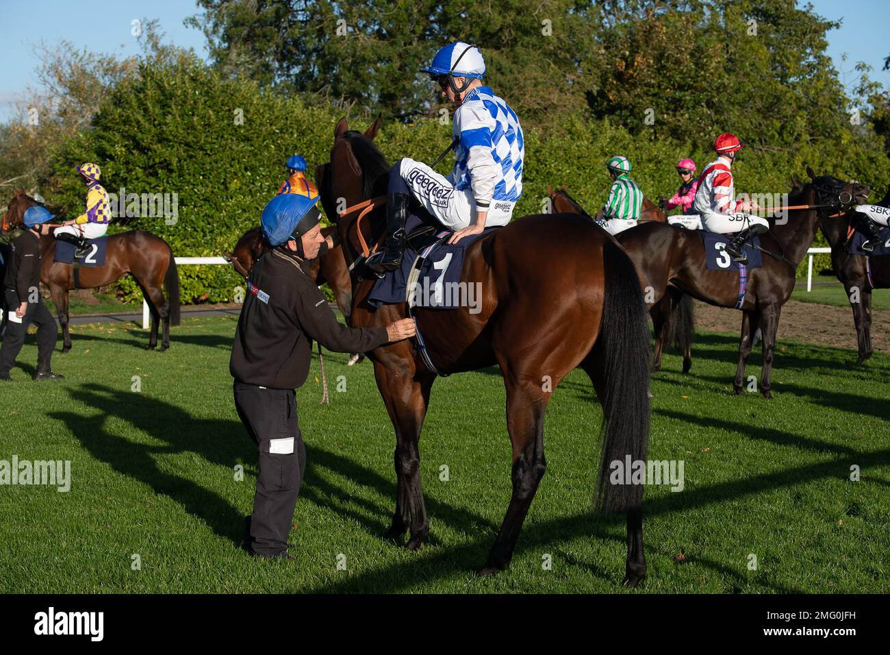 Night sky photos hd hi-res stock photography and images - Alamy