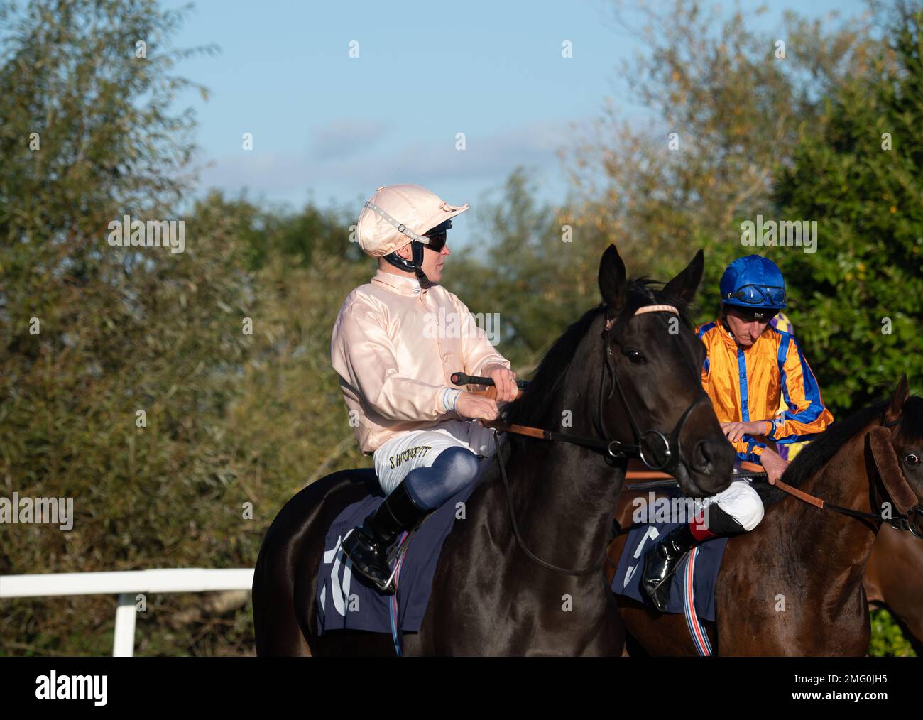 Windsor, Berkshire, UK. 10th October, 2022. Horses and their riders ready to be loaded into the ...