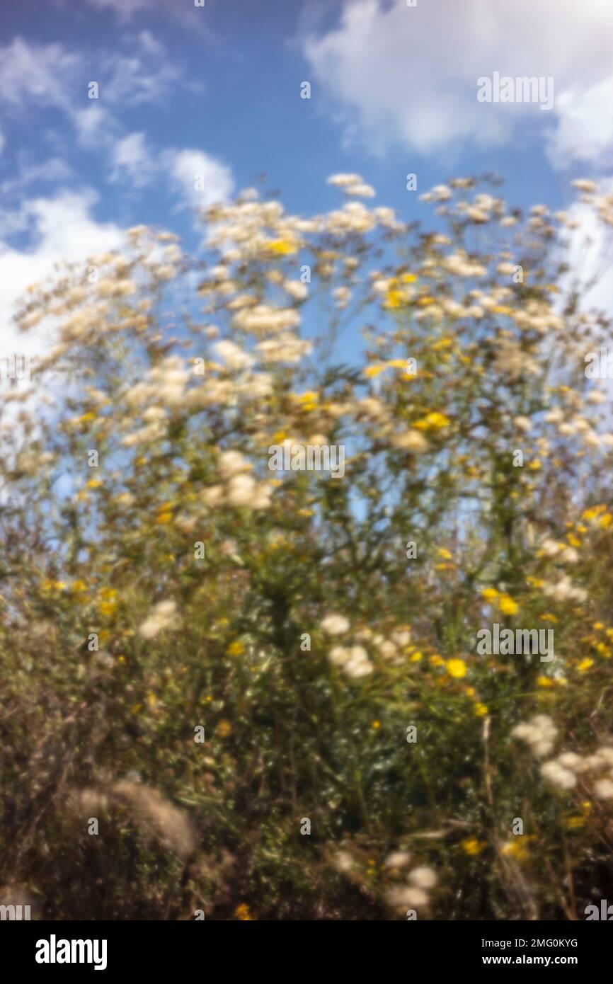 New, Age-defying, digital age, lensless, stand-out, high resolution ...