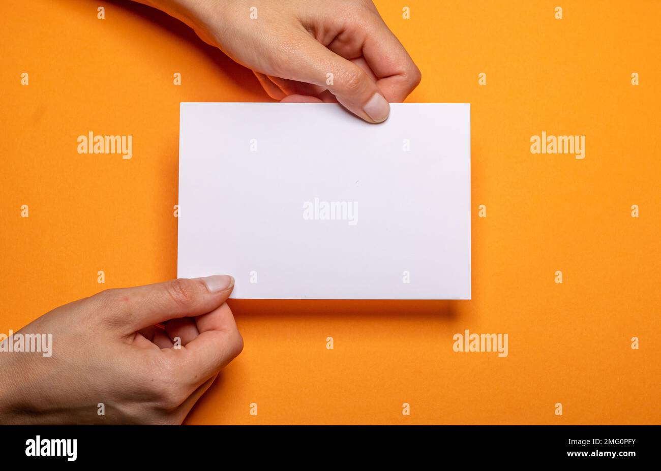 two female hands holding a blank piece of paper with copy space in ...