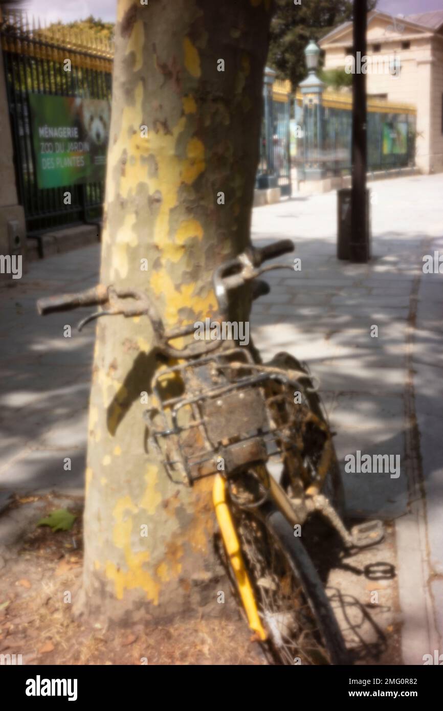 New, Age-defying, digital age, lensless, stand-out, high resolution, pinhole image of abandoned ...