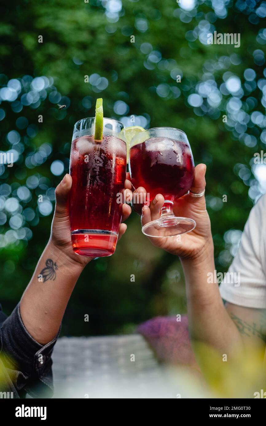 Two women cheers their red cocktails while outside in the summer Stock ...