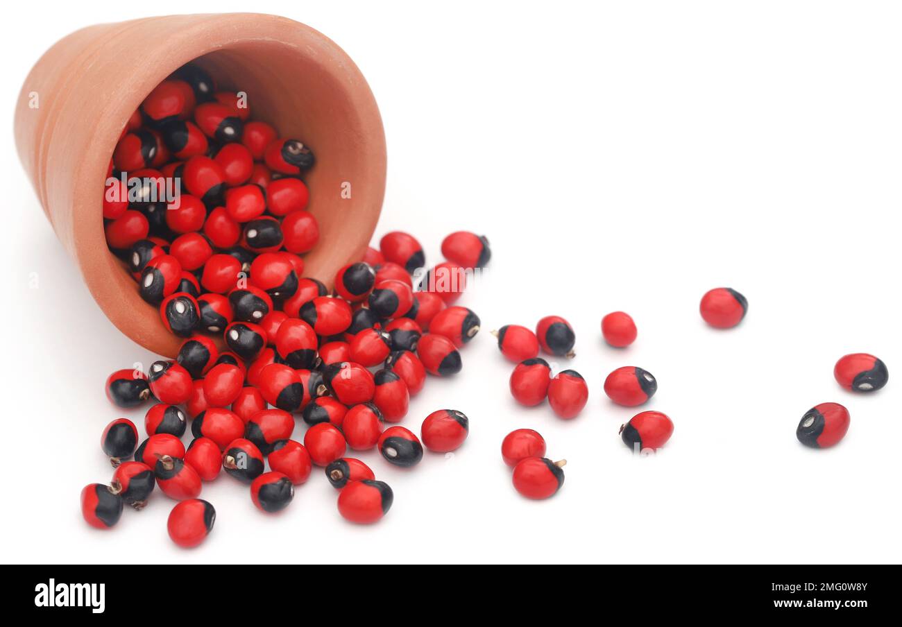 Abrus precatorius or Indian liquorice Seeds over white background Stock ...
