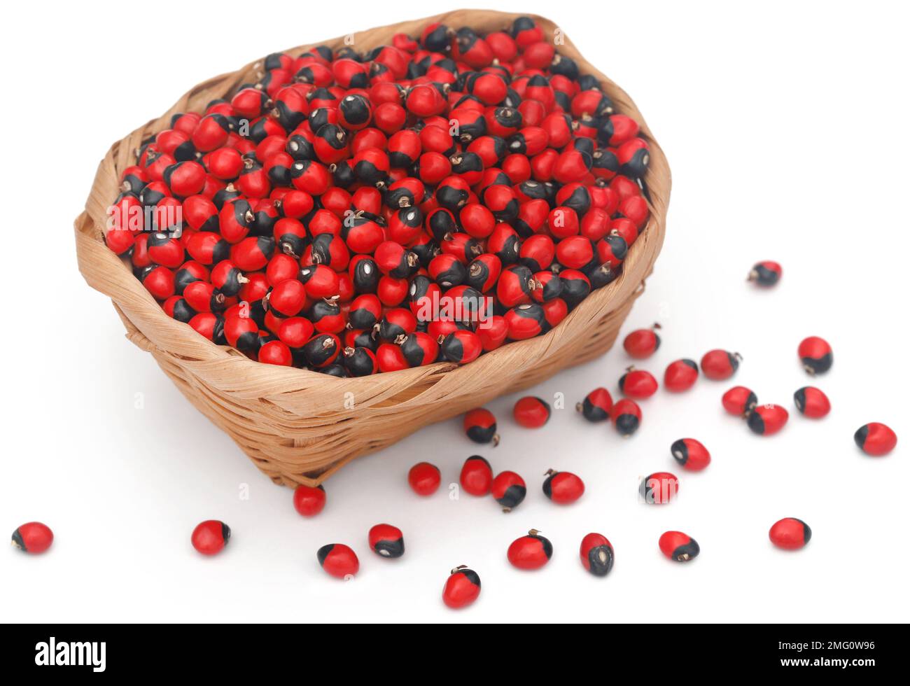 Abrus precatorius or Indian liquorice Seeds over white background Stock ...