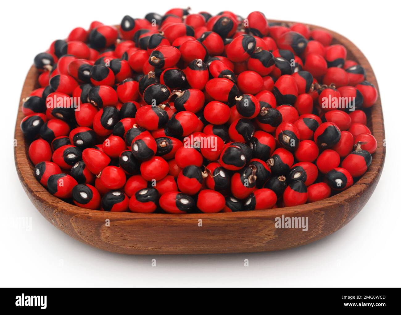 Abrus precatorius or Indian liquorice Seeds over white background Stock ...
